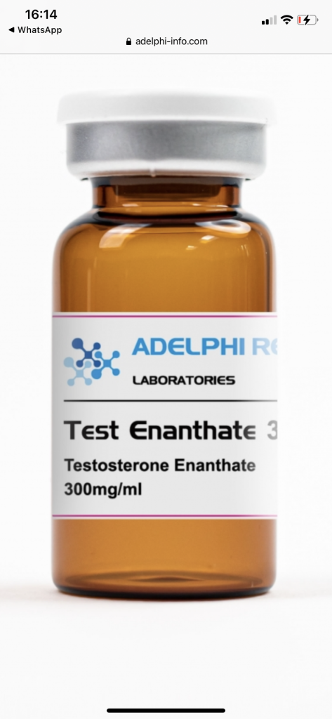 Adelphi Research Test Enanthate 300 - Euro Muscle Supplements